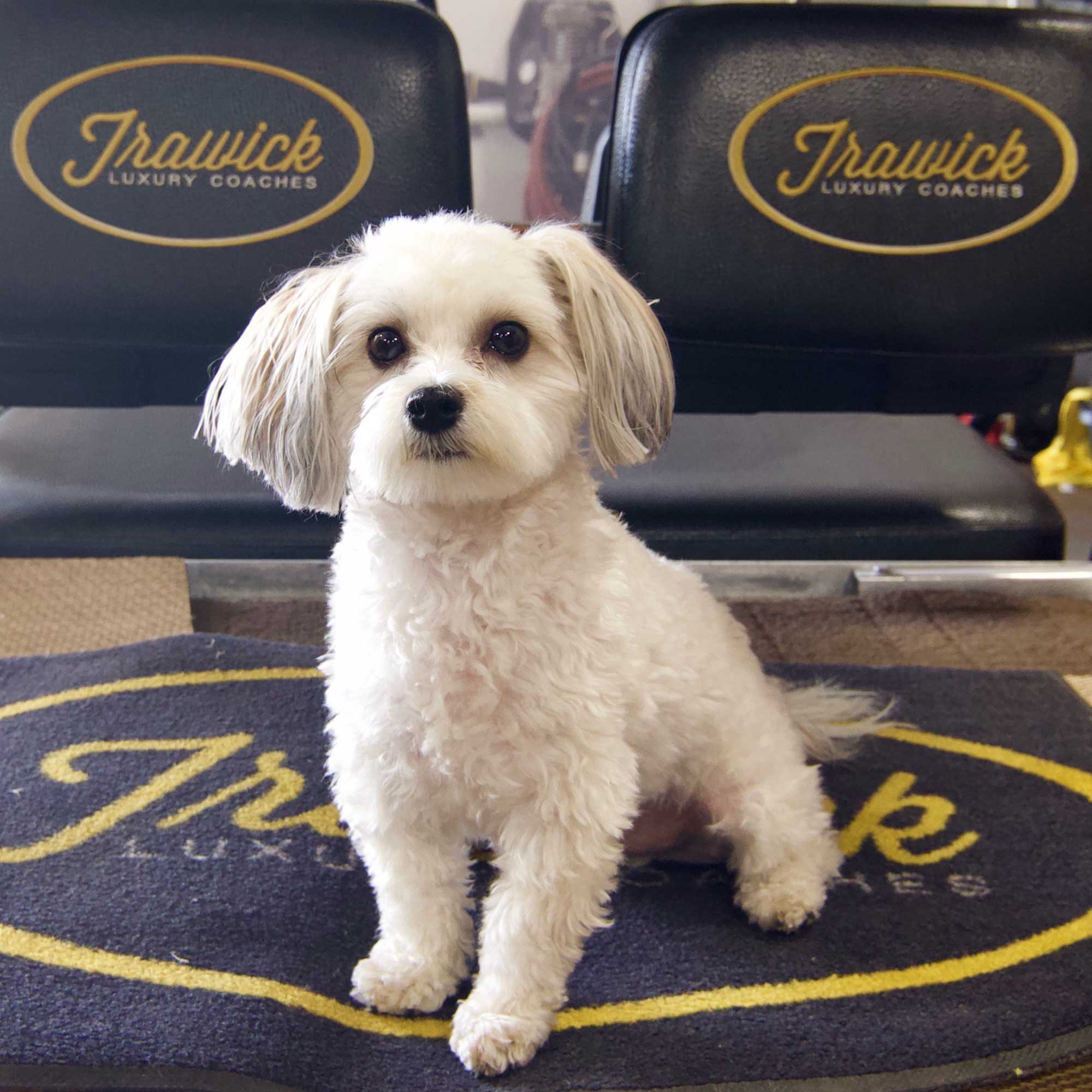 Trawick Luxury Coaches | About Us